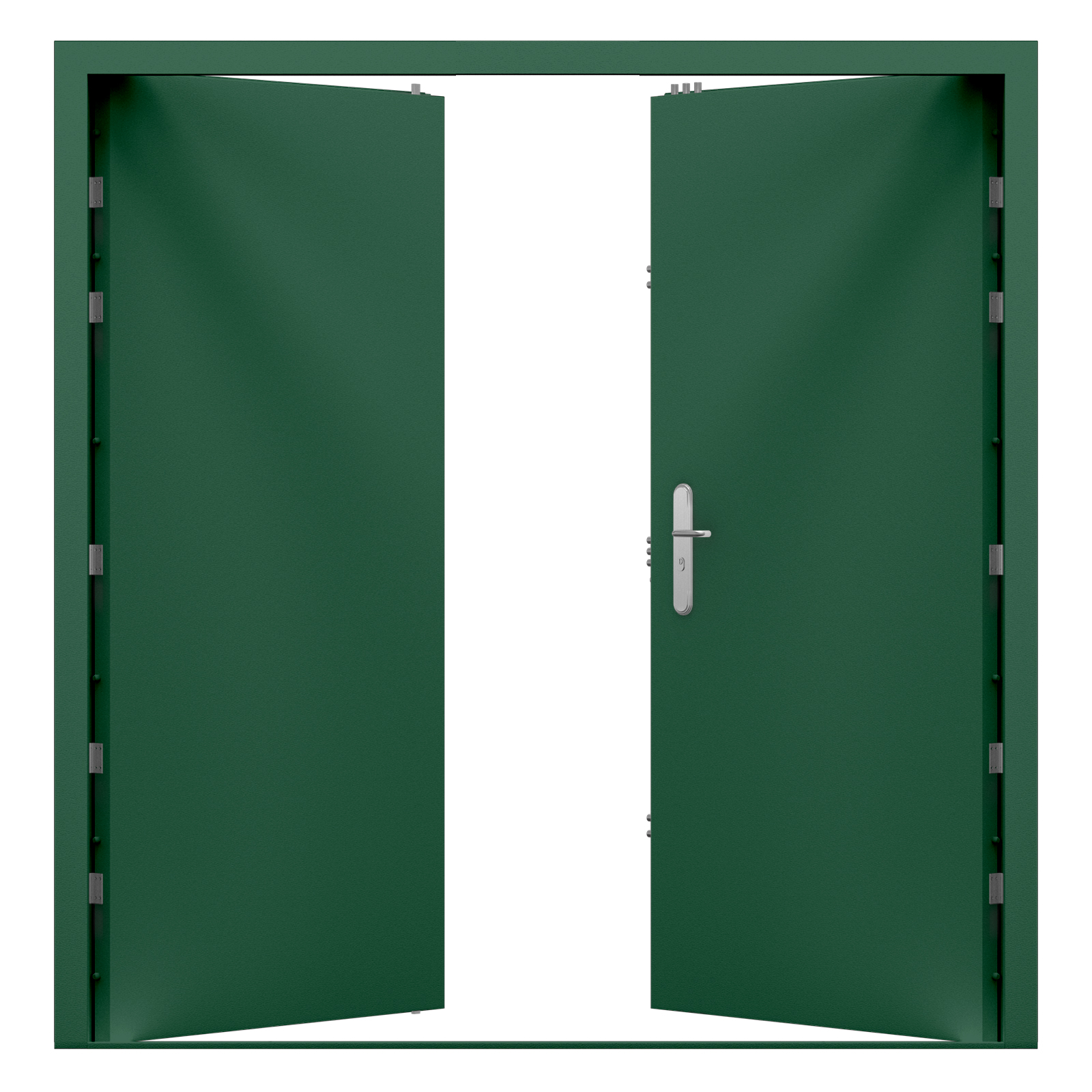 Double Steel Entry Doors