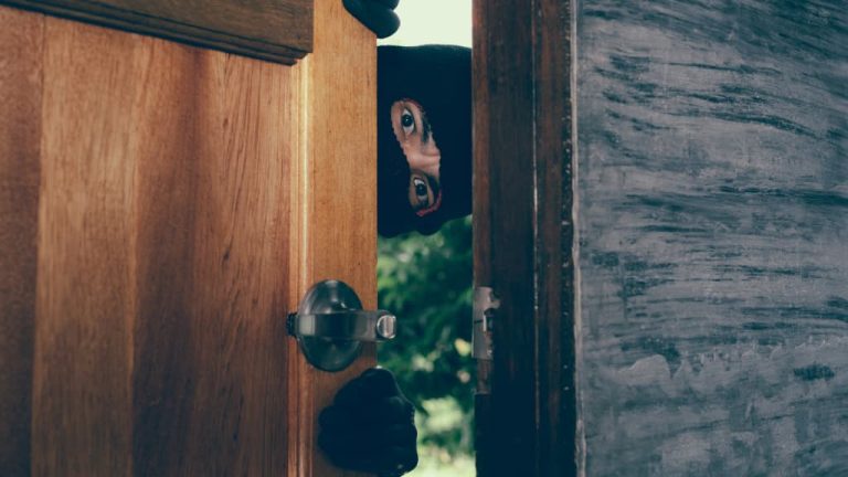 How Burglars See Your Home: Understanding the Criminal Mind | Latham's ...